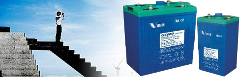 Vision Batteries (*For UPS Systems Only) | UPS Solutions Page 2